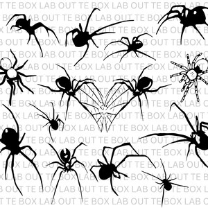 Spider SVG / Spider Heart Web SVG / Insect SVG / Cobweb Svg / - Etsy
