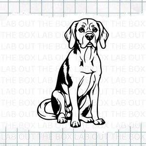 BEAGLE Svg | Dog Svg PORTRAIT | Vector Graphic | Png | Svg | Eps | Dxf ...