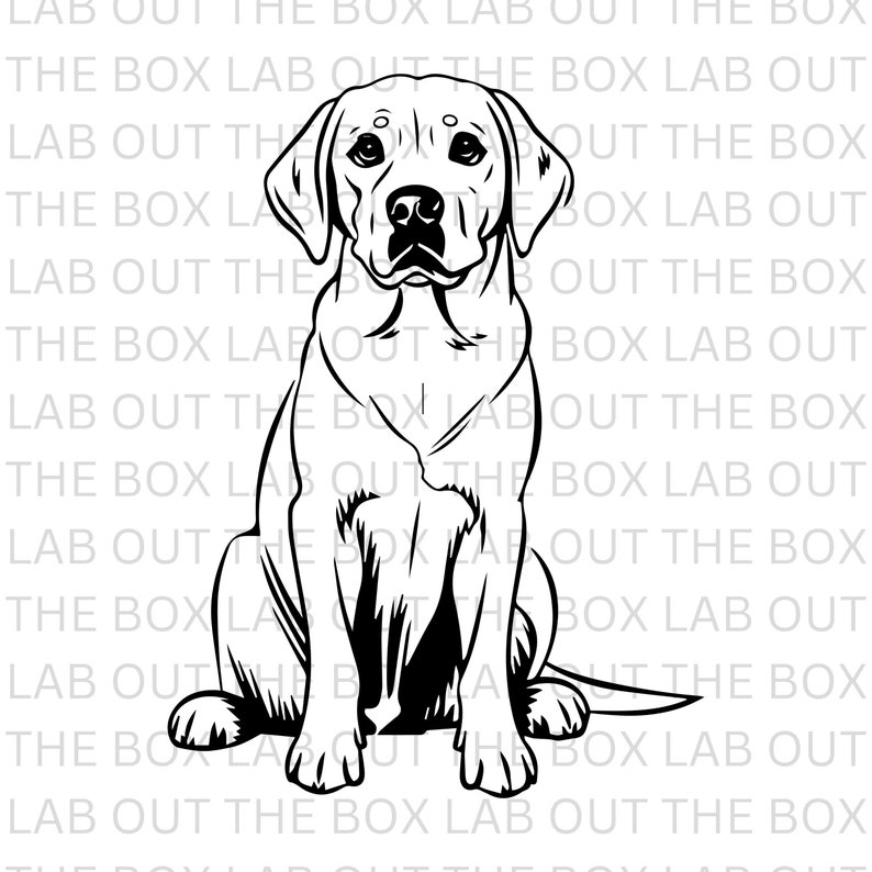 Labrador Retriever | Eps | Dxf | Ai | Svg | Png | Jpg | Pdf | Dog ...