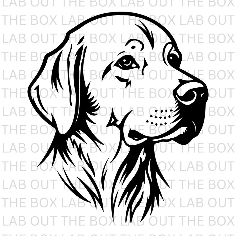 Labrador Retriever Eps Dxf Ai Svg Png Jpg Pdf Dog Graphic Cut Files ...