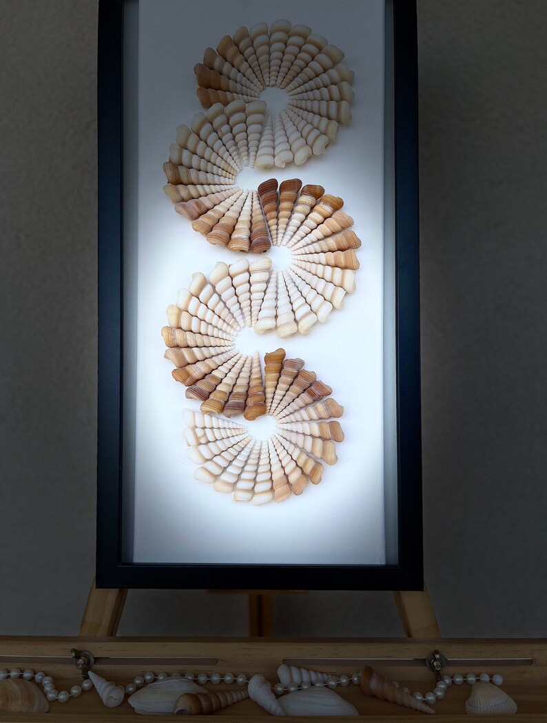 Tarantella-shellsshape Shell Art Piece of Art With Embossed Natural ...