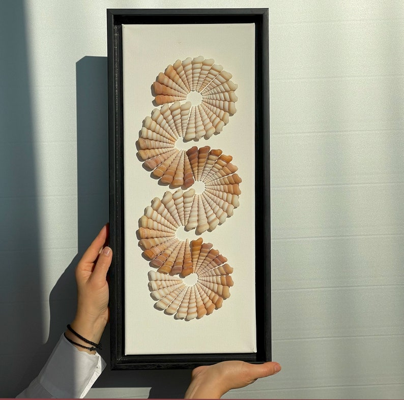 Tarantella-shellsshape Shell Art Piece of Art With Embossed Natural ...