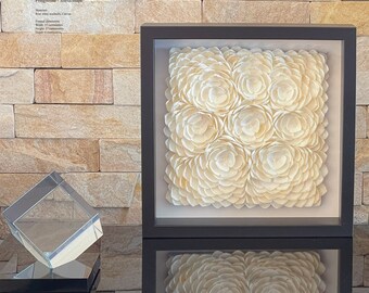 Tarantella-shellsshape Shell Art Piece of Art With Embossed Natural ...