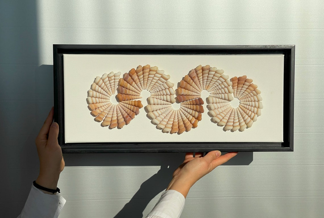 Tarantella-shellsshape Shell Art Piece of Art With Embossed Natural ...