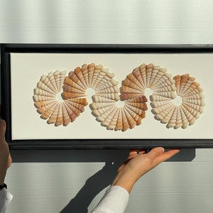Tarantella-shellsshape Shell Art Piece of Art With Embossed Natural ...