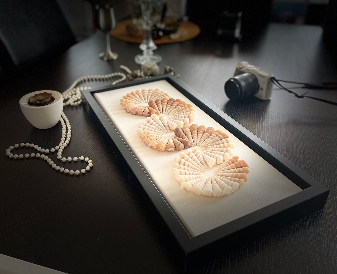 Tarantella-shellsshape Shell Art Piece of Art With Embossed Natural ...