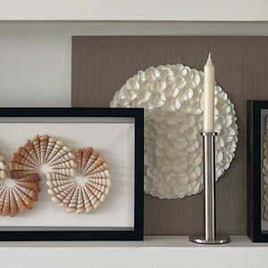 Tarantella-shellsshape Shell Art Piece of Art With Embossed Natural ...