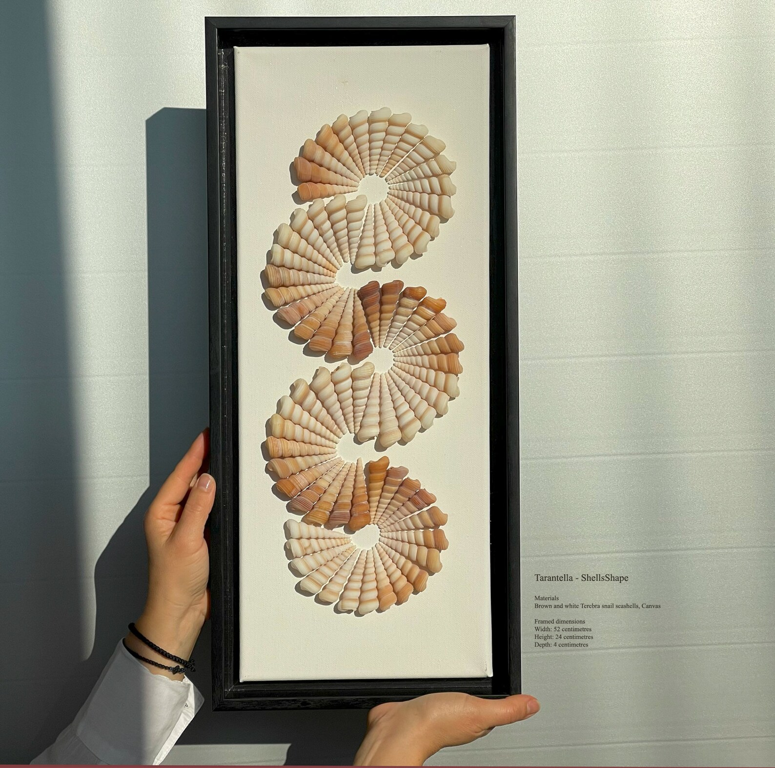 Tarantella-shellsshape Shell Art Piece of Art With Embossed Natural ...