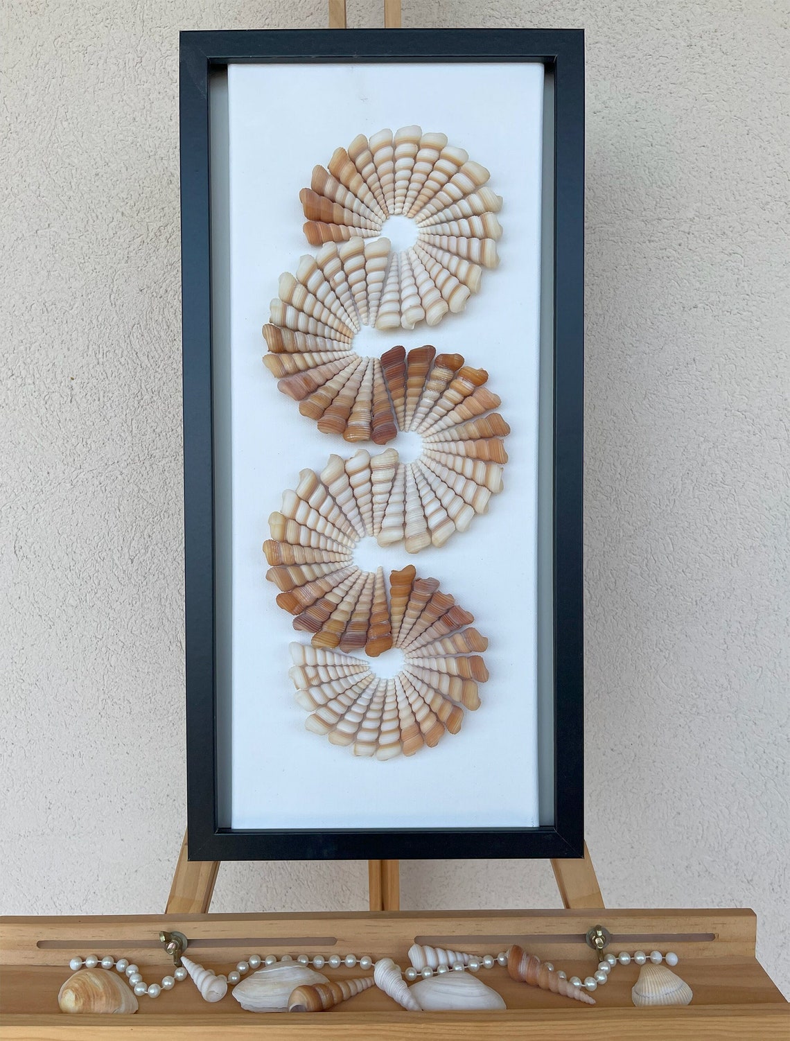 Tarantella-shellsshape Shell Art Piece of Art With Embossed Natural ...
