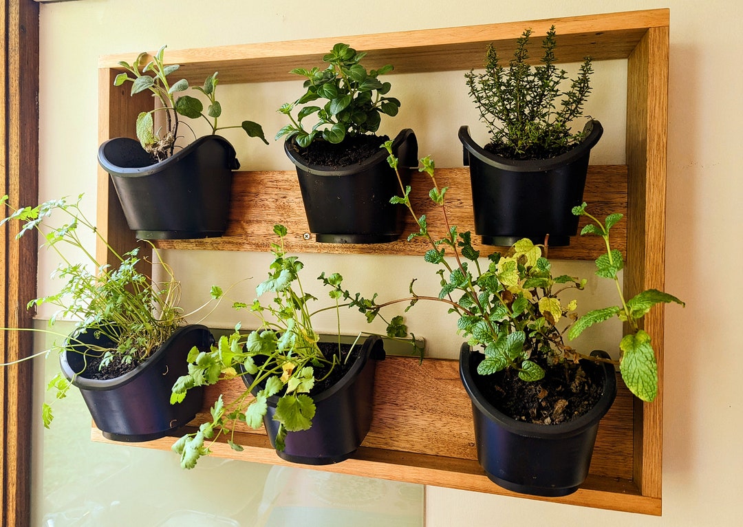 Herb Rack - Kitchen Vertical Garden - Etsy