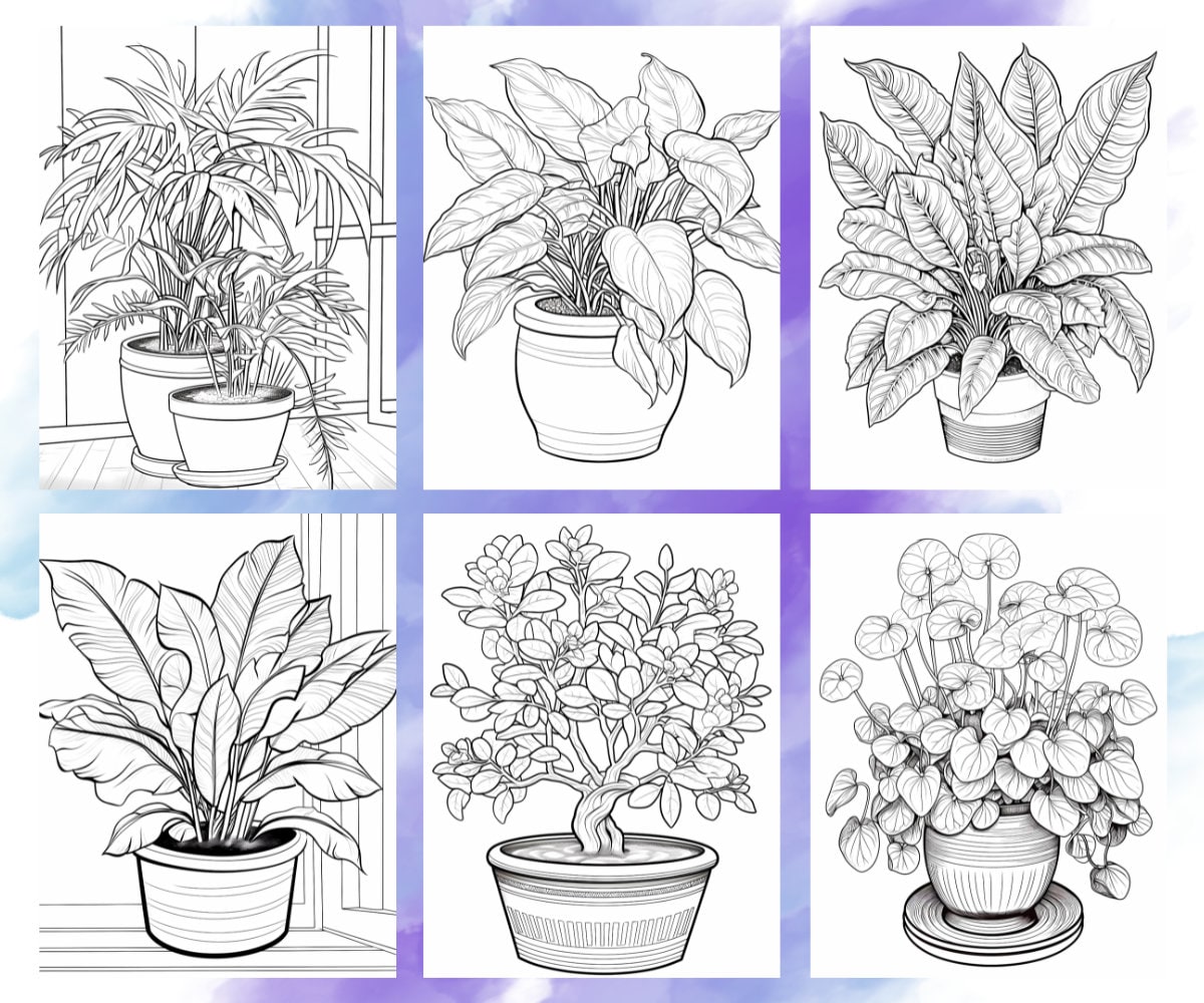 House Plant Coloring Book Pages for Adults & Kids, Gardening Grayscale ...