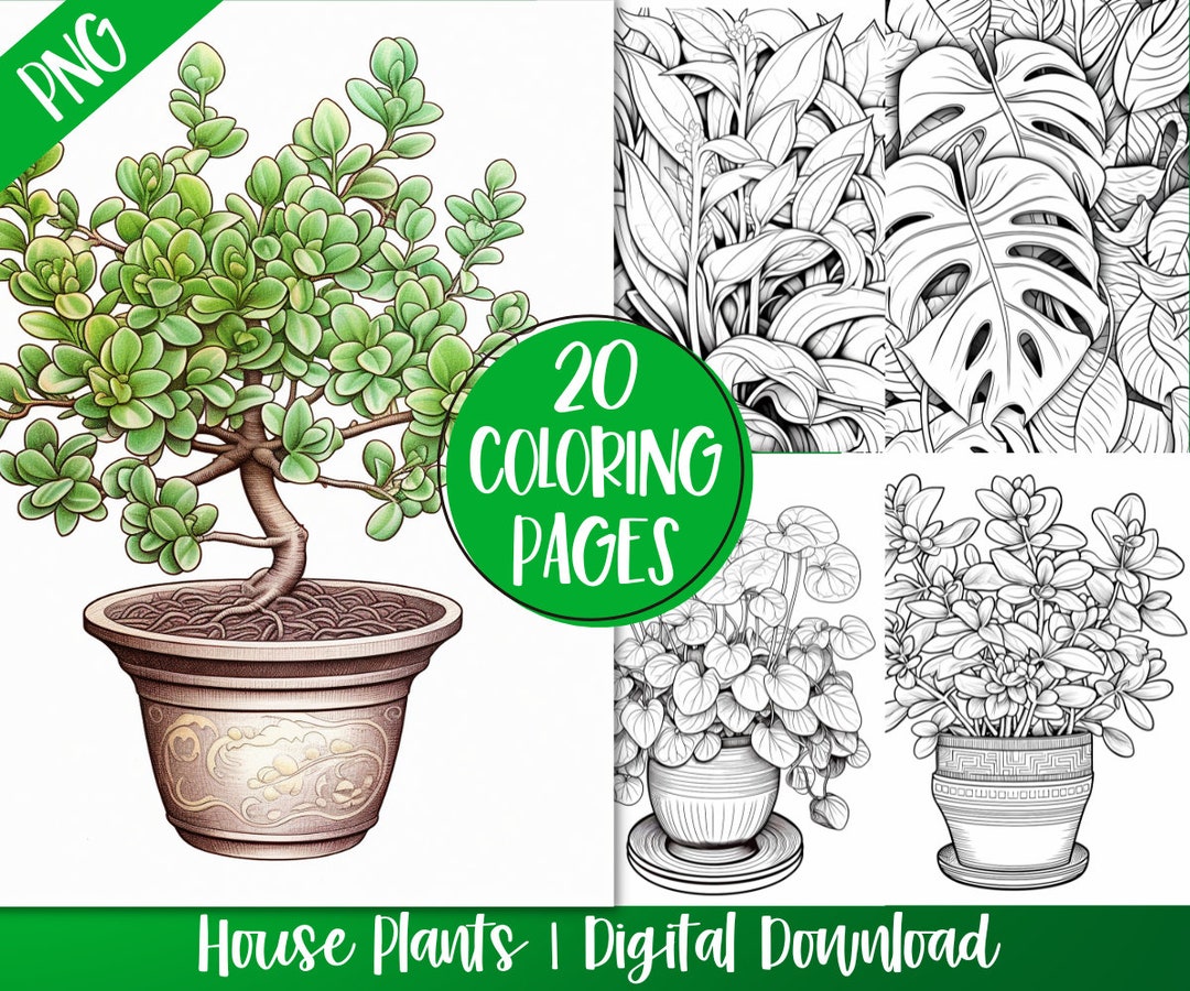 House Plant Coloring Book Pages for Adults & Kids, Gardening Grayscale ...