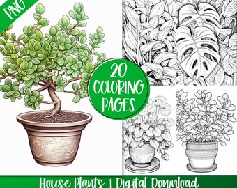 House Plant Coloring Page Book, Adults & Kids, Instant Download ...