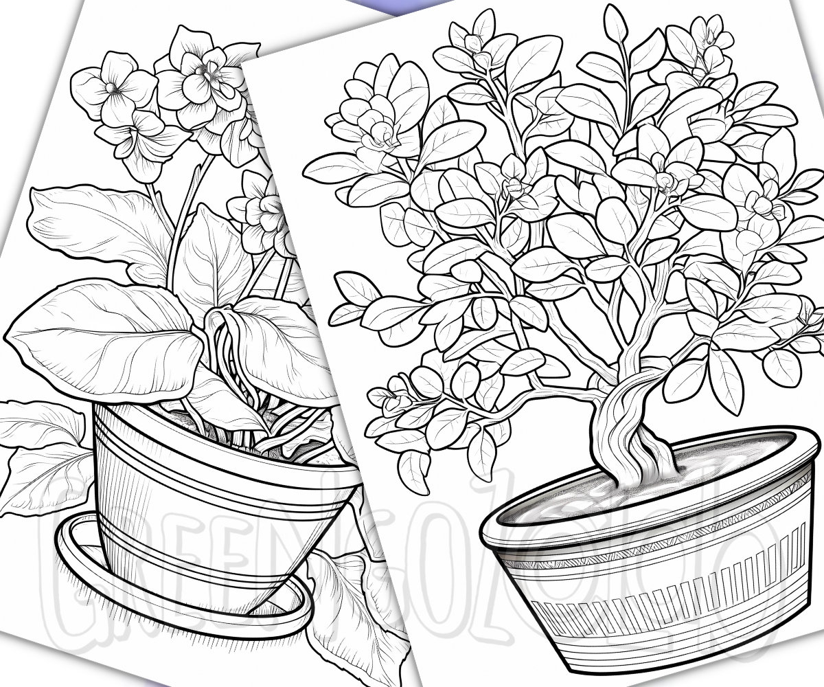 House Plant Coloring Book Pages for Adults & Kids, Gardening Grayscale ...