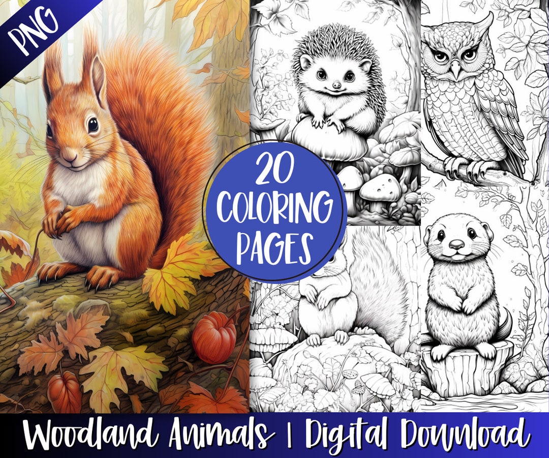 Woodland Animals Coloring Book Pages for Adults, Kids, Forest Animal ...