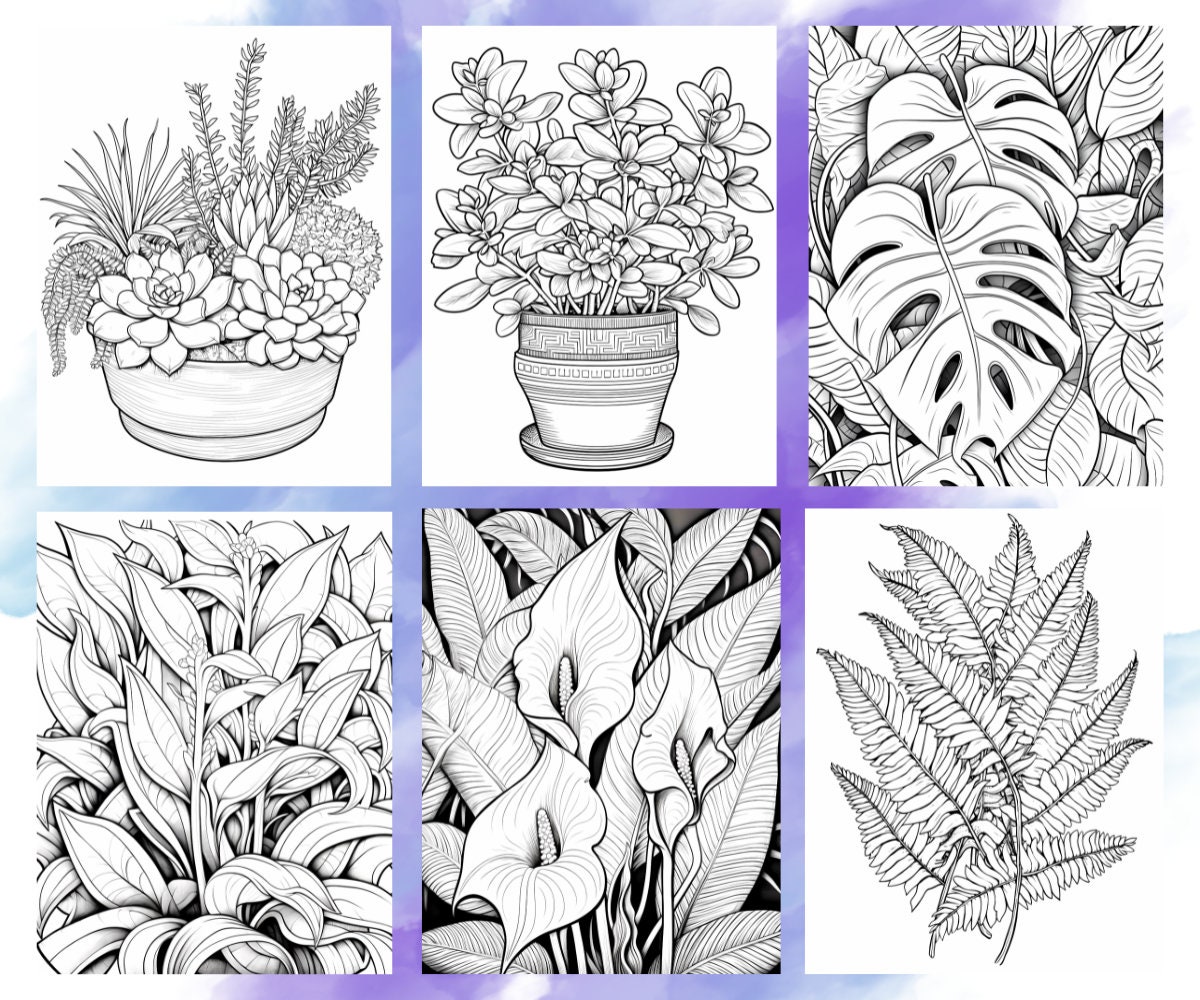 House Plant Coloring Book Pages for Adults & Kids, Gardening Grayscale ...