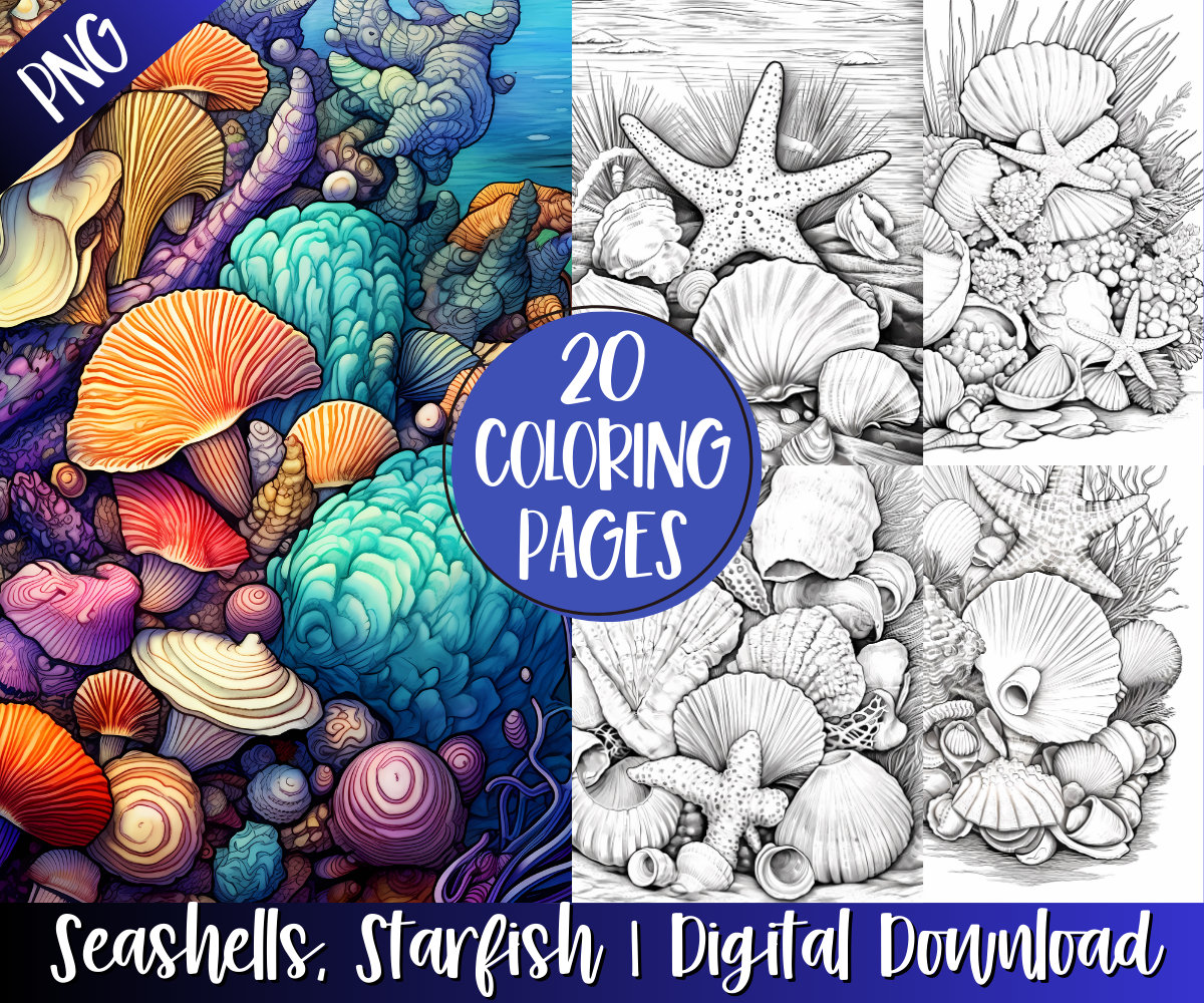 Intricate Seashells & Starfish Coloring Book Pages, Ocean Grayscale ...