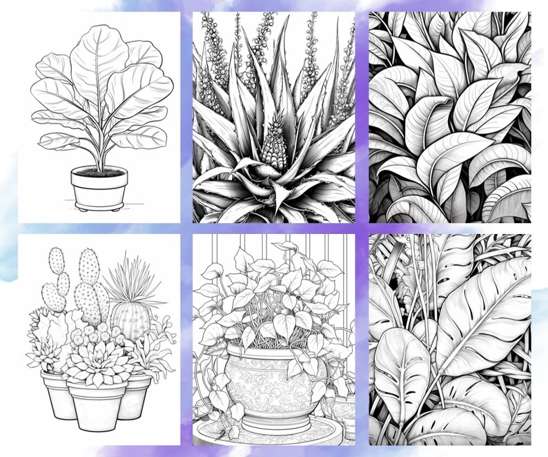 House Plant Coloring Book Pages for Adults & Kids, Gardening Grayscale ...