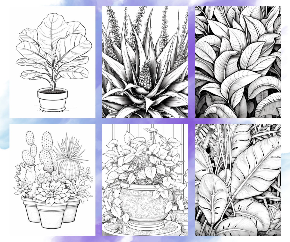 House Plant Coloring Book Pages for Adults & Kids, Gardening Grayscale ...