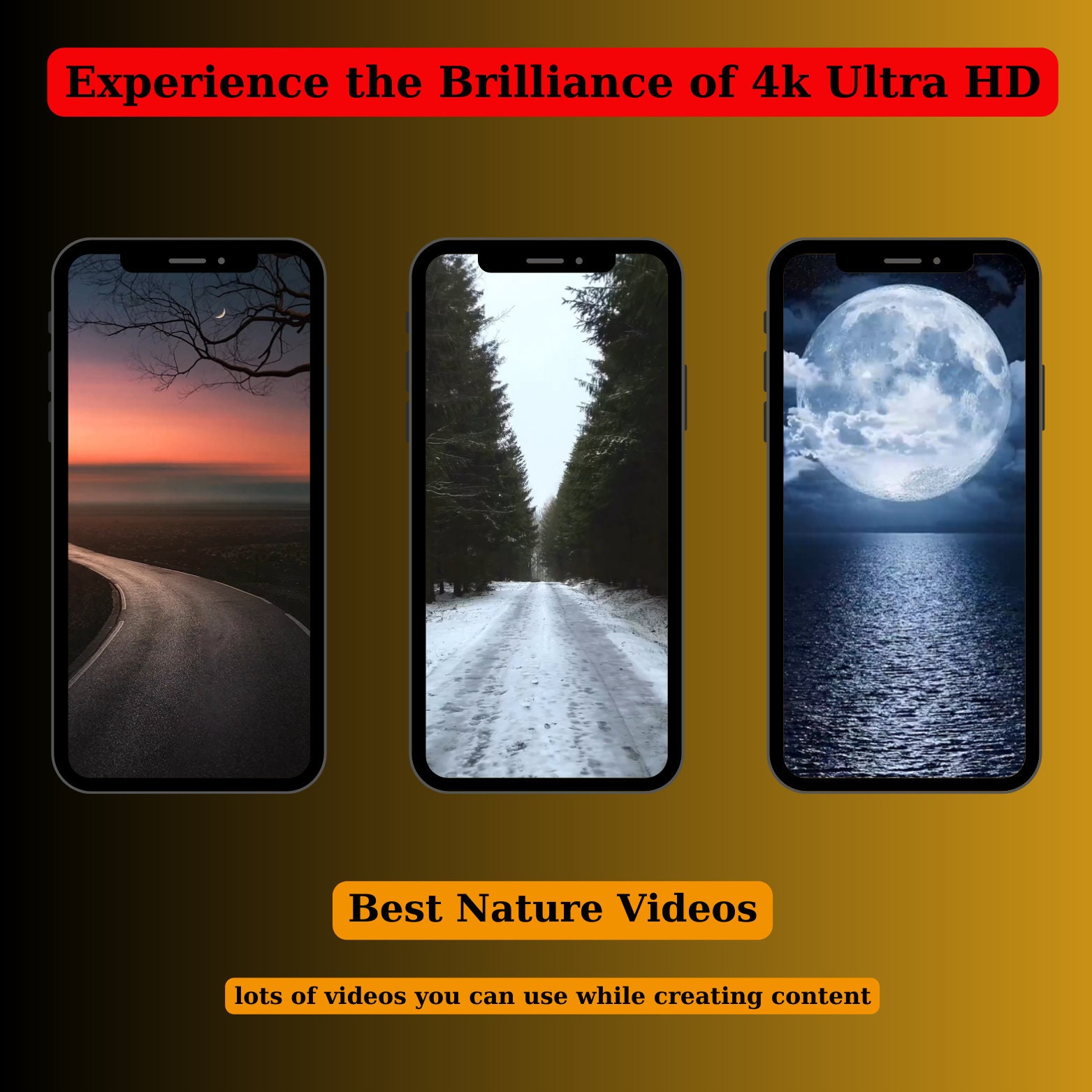 100 Nature Videos | 4K Social Media Content (canva Editable, Digital ...