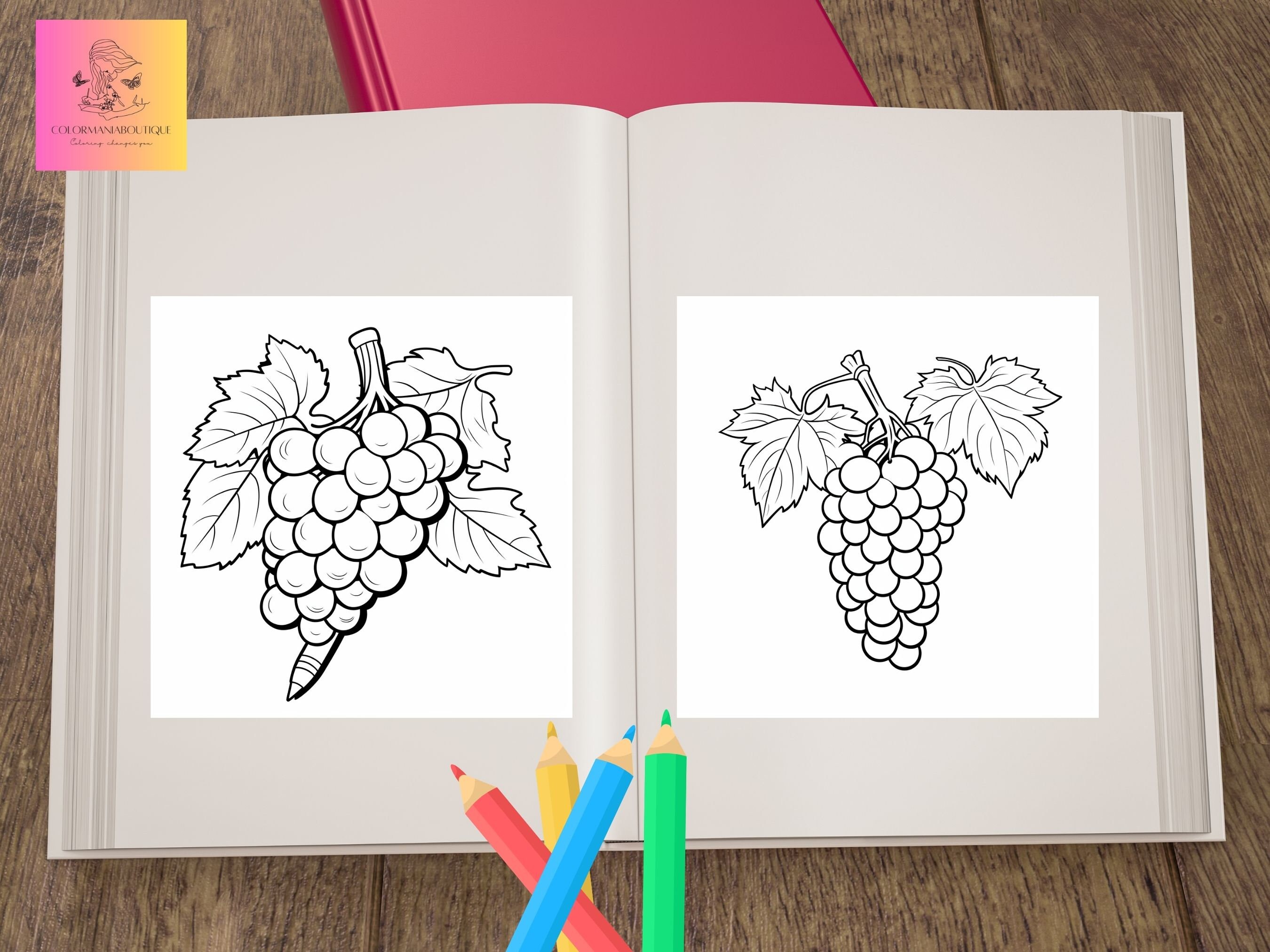 12 Grapes Coloring Book Fruits Printable Kids Coloring Pages - Etsy