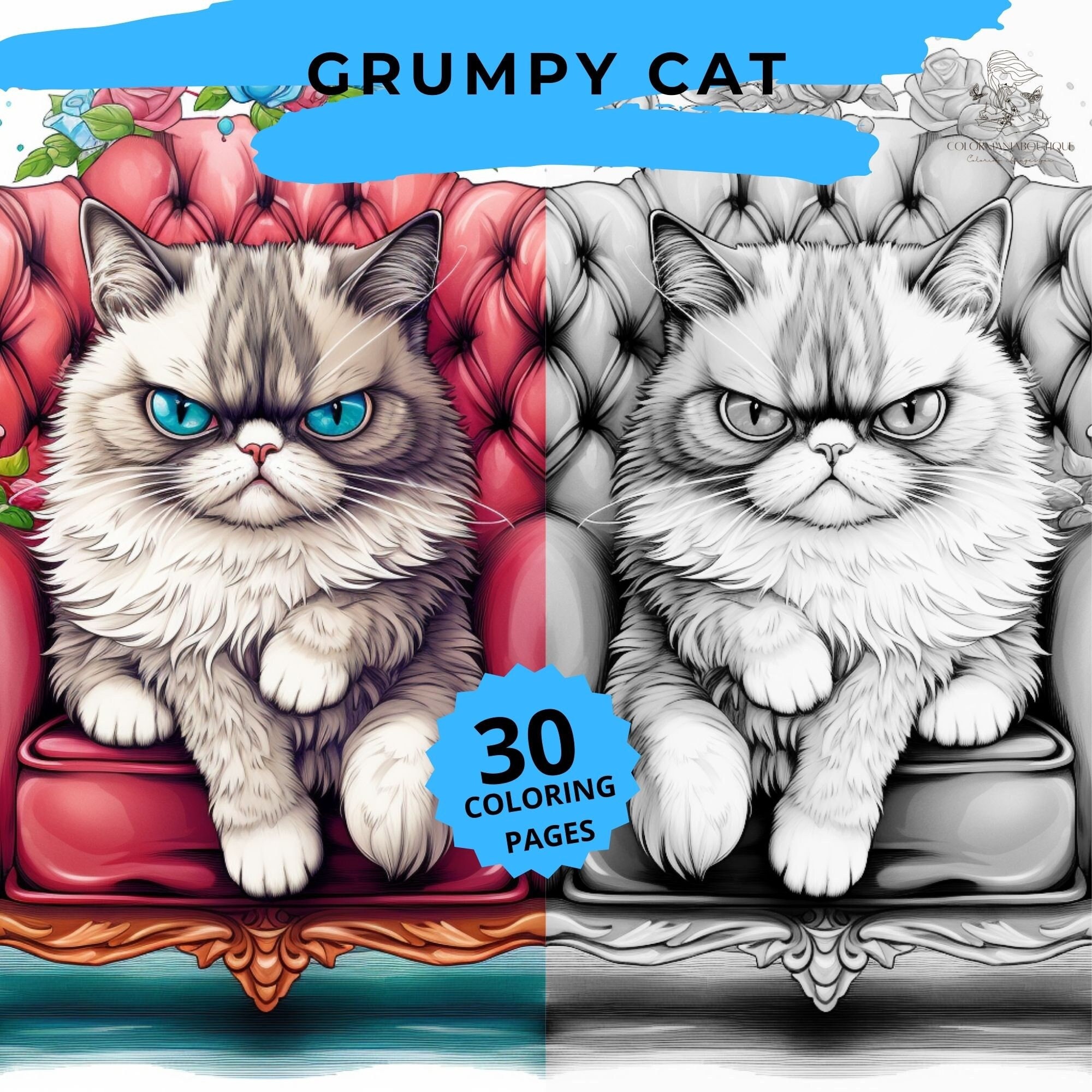 Grumpy Cat Coloring Book