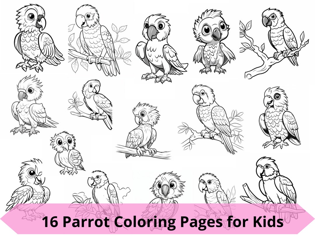 16 Parrots Coloring Book, Cute Birds Printable Kids Coloring Pages ...