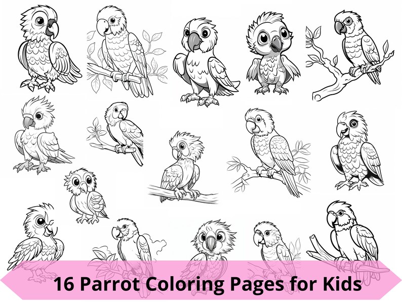 16 Parrots Coloring Book Cute Birds Printable Kids Coloring - Etsy