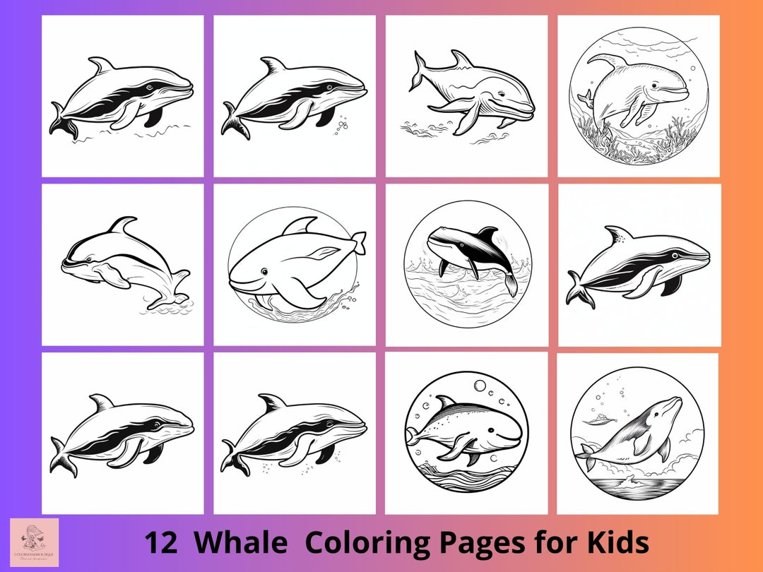 12 Whale Printable Coloring Sheet for Kids, Ocean Animals Printable ...