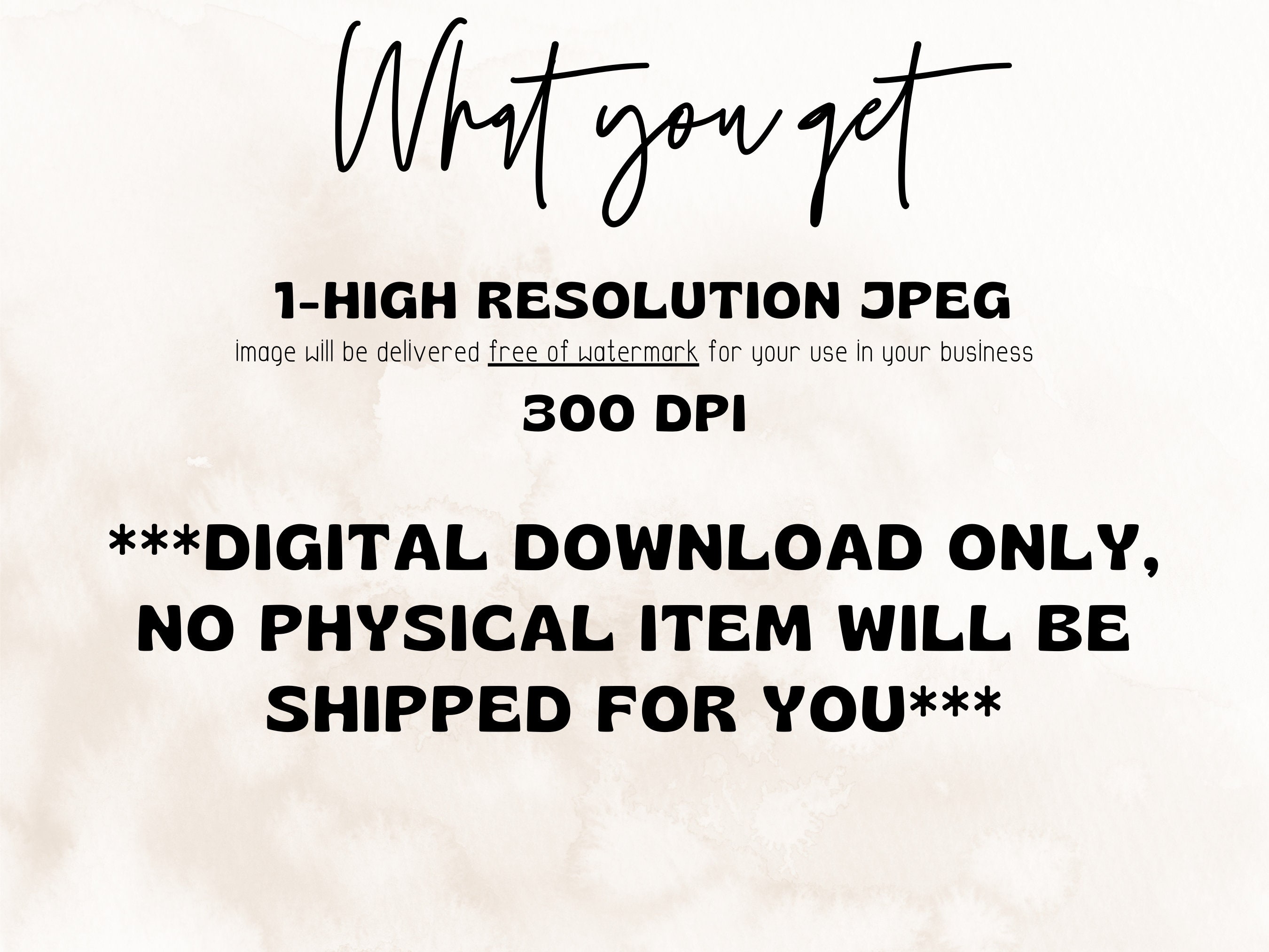 Fall Mockup|mock-up Photo|stock Photo for Business|halloween Mockup ...