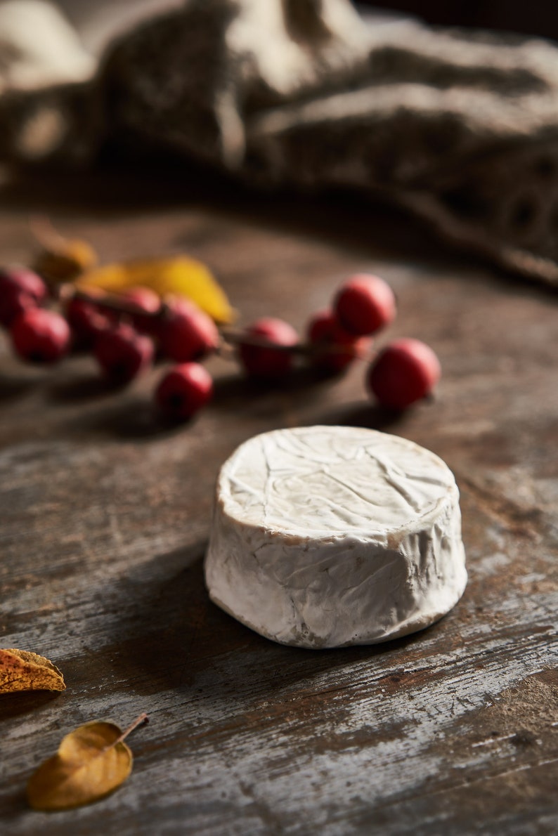 Basic Cheese Making Kit, Vegan Cheese Kit, Beginner's Cheese Making Kit ...