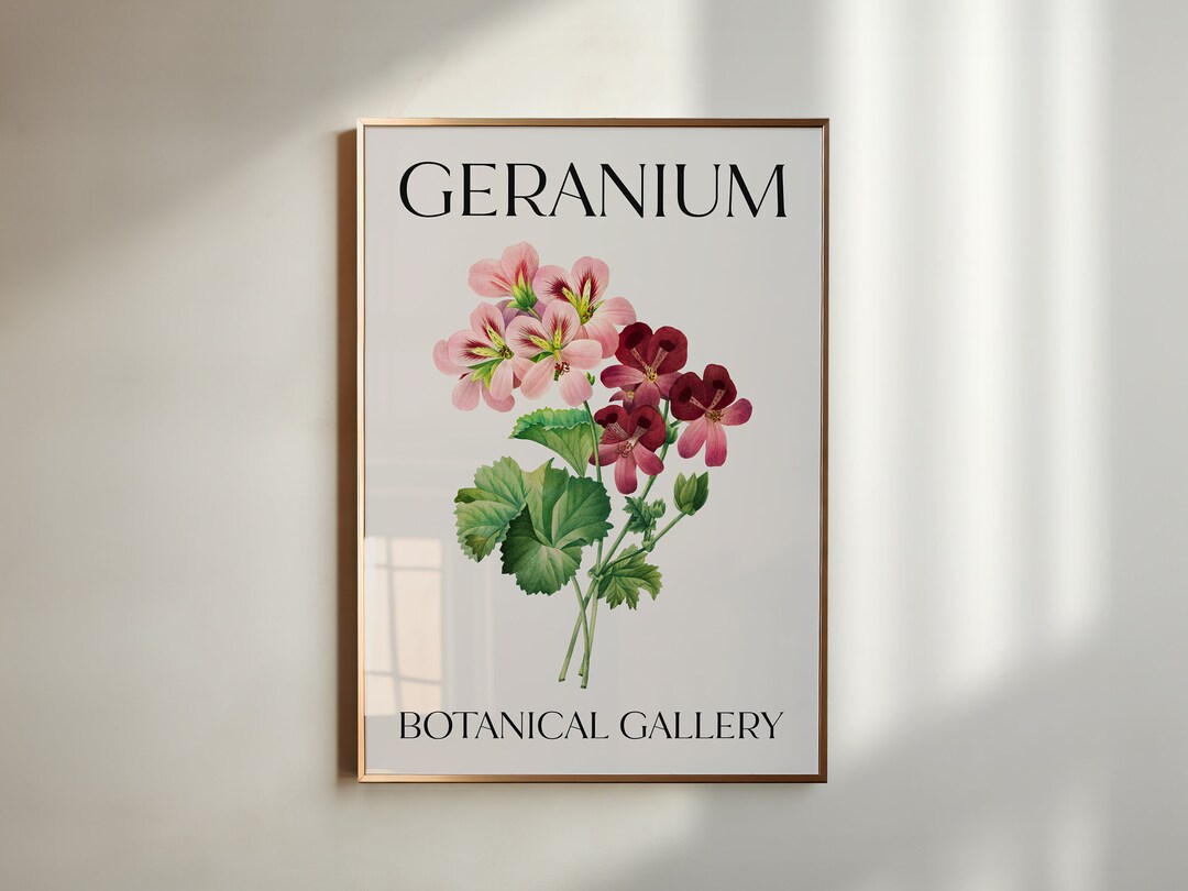 Geranium Botanical Poster Print Botanical Gallery Wall Art Print Pierre ...
