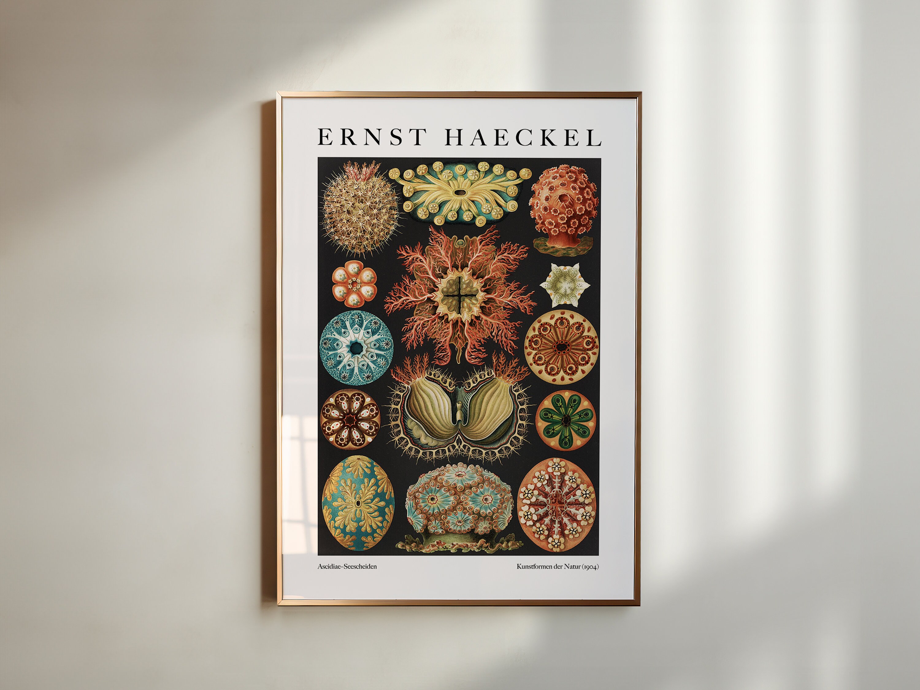 Ernst Haeckel Print Vintage Art Print Haeckel Art Poster Ernst Haeckel ...