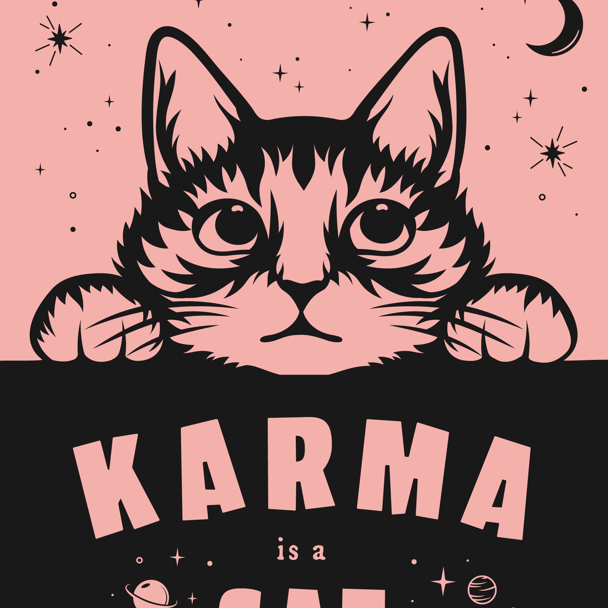 Taylor Swift Poster Karma is a Cat Pink Y2K Room Decor Perfect Gift or ...
