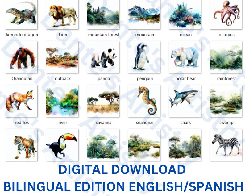 Educational Animal Habitat Cards Montessori Learning Fun Printable ...