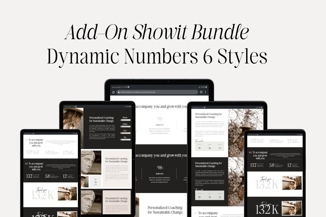 Animated Counter Showit Template Add on Bundle: 6 Canvas of Dynamic Numbers 100% Custom With a ...