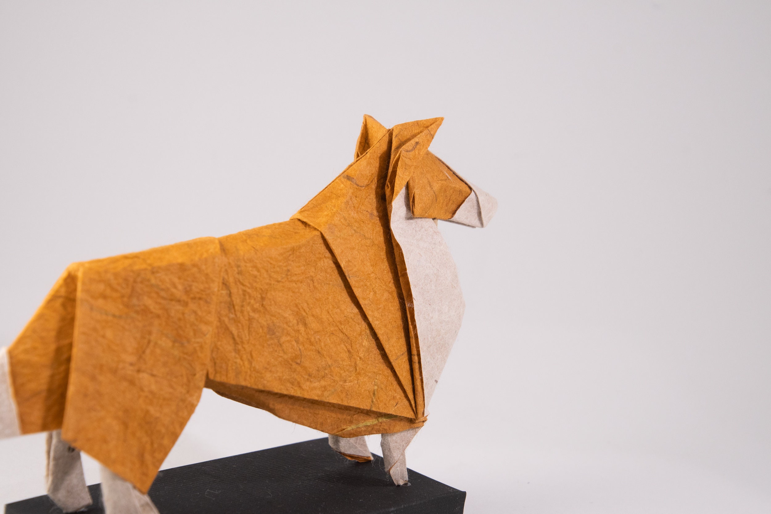 Scottish Shepherd Origami Paper Dog Origami Pet - Etsy Australia
