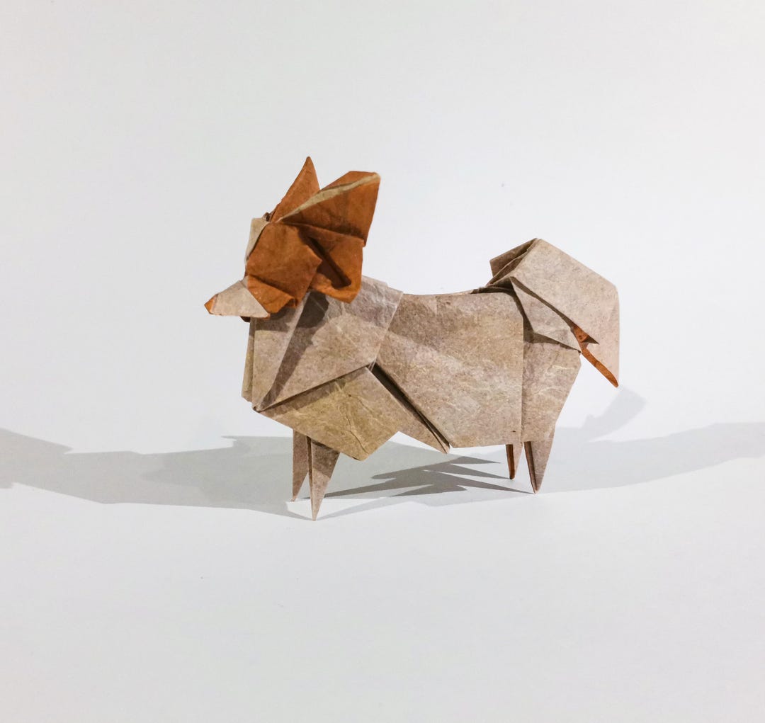Origami Papillon Spaniel Pet Papercraft Dog - Etsy