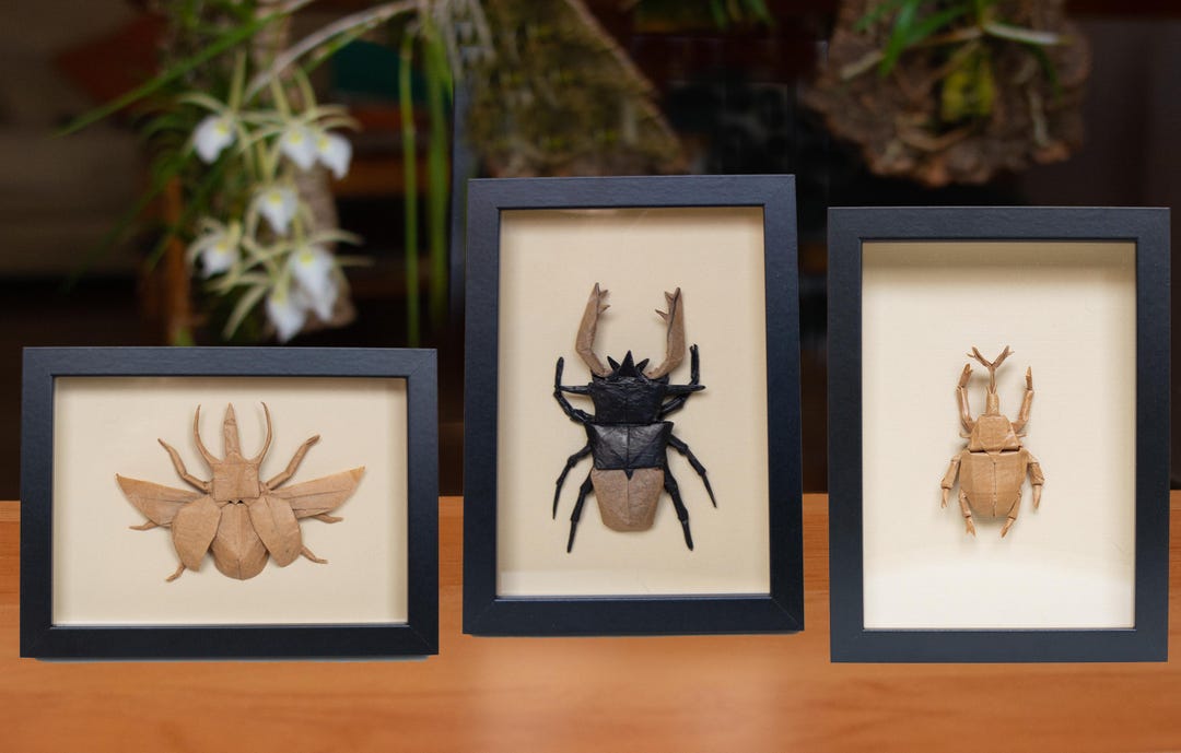 Very Complex Origami Insect Frame, Box Frame With Unique Origami ...