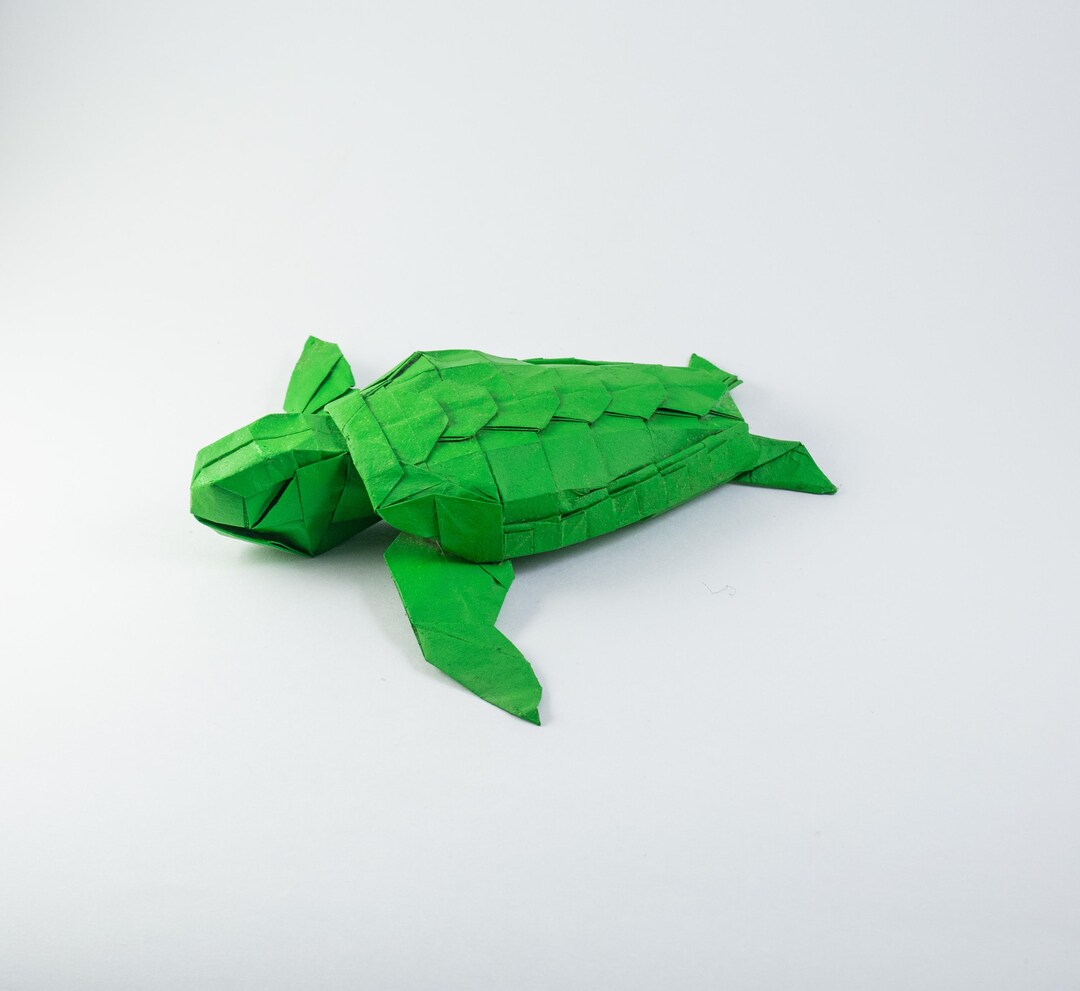 Green Sea Turtle, Origami Figure, Paper Folding Model, Sea Turtle ...