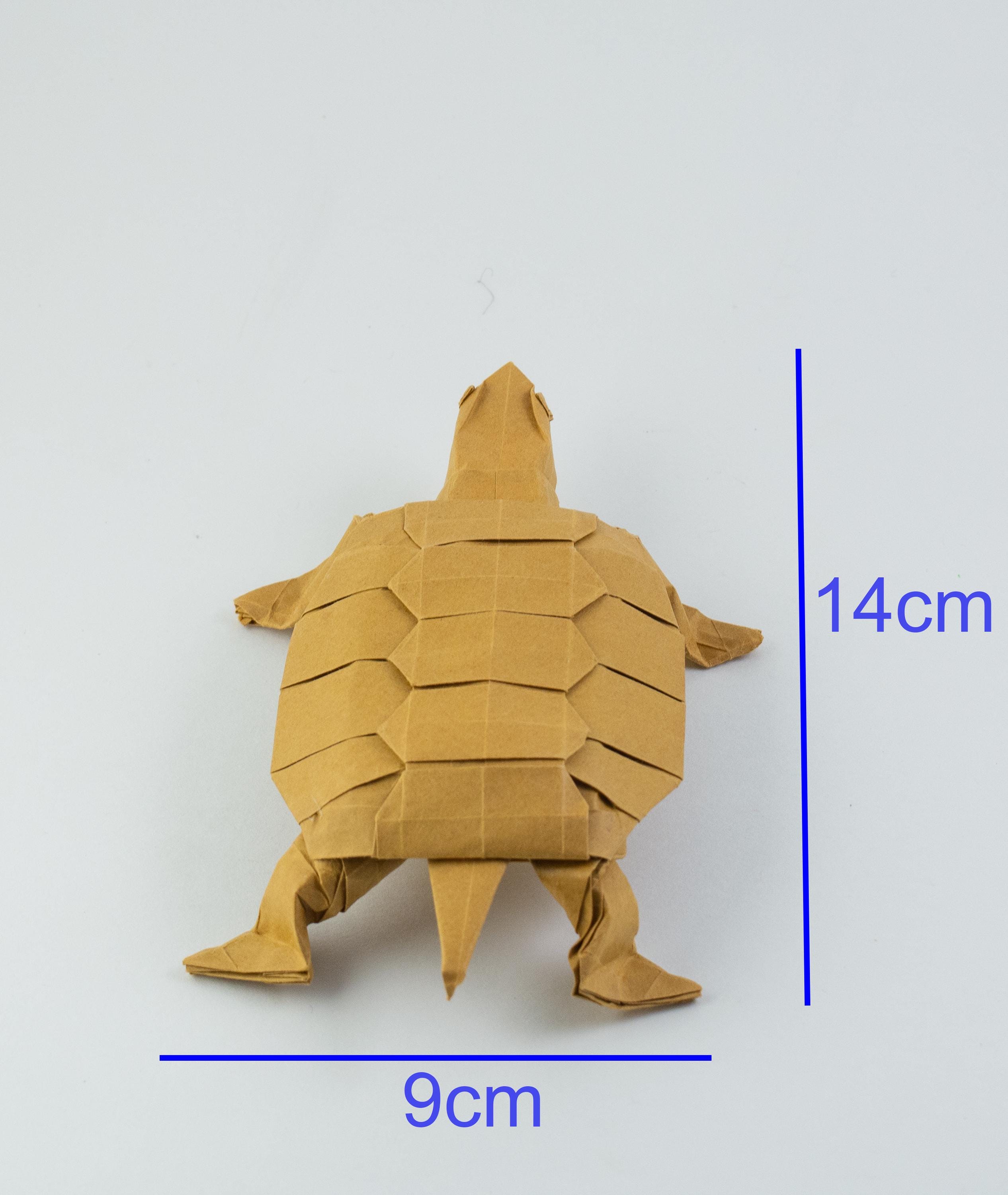 Land Turtle, Origami Figure, Paper Folding Model, Pond Turtle, Shell - Etsy