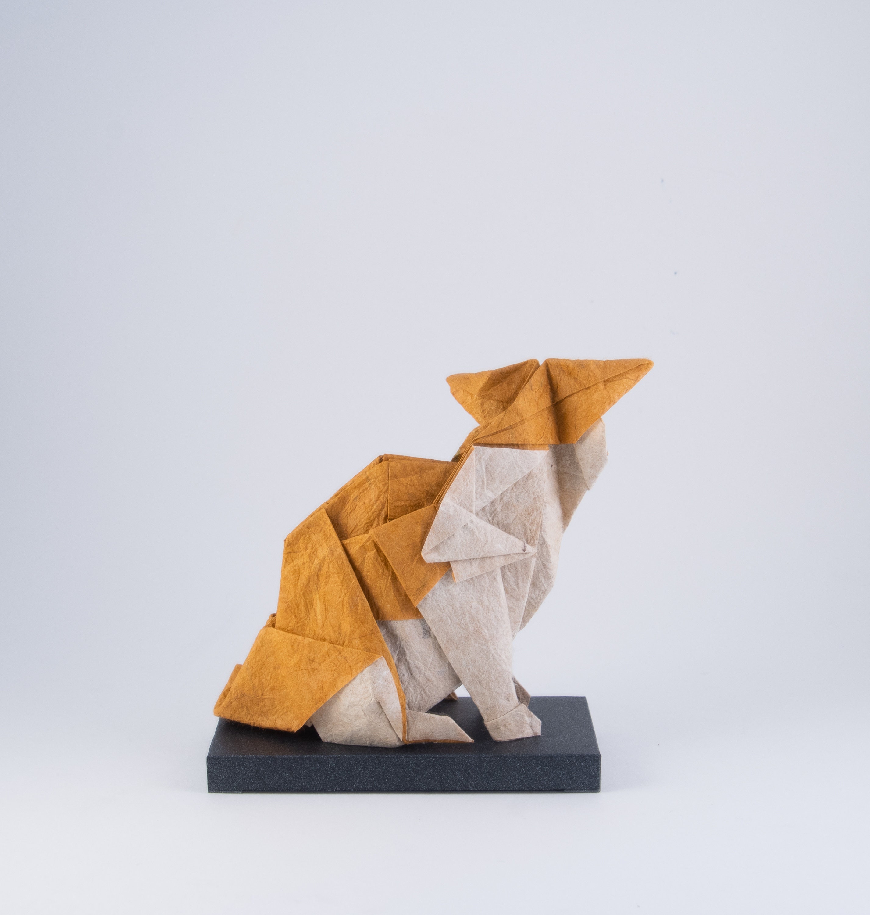 Origami Cat Origami Mascot in Craft Paper Bicolor Breed - Etsy