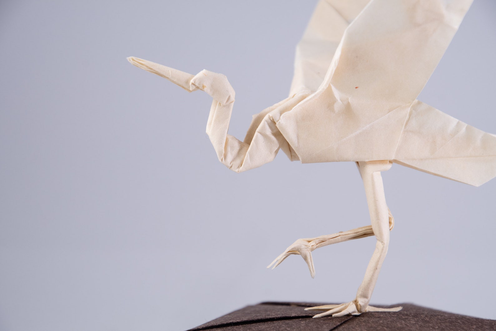 Grulla de origami realista crane de papiroflexia de papel artesanal de ...