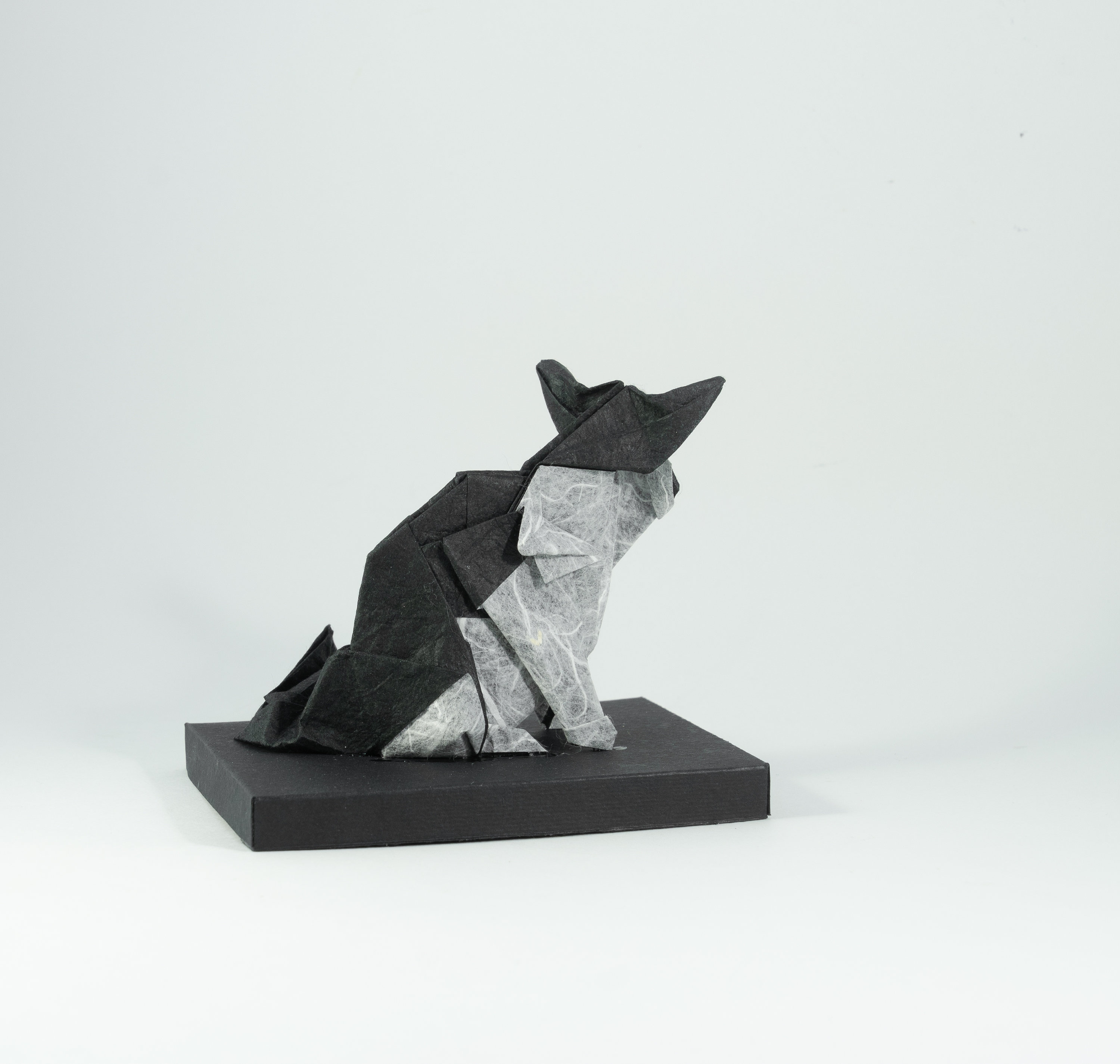 Origami Cat Origami Mascot in Craft Paper Bicolor Breed - Etsy