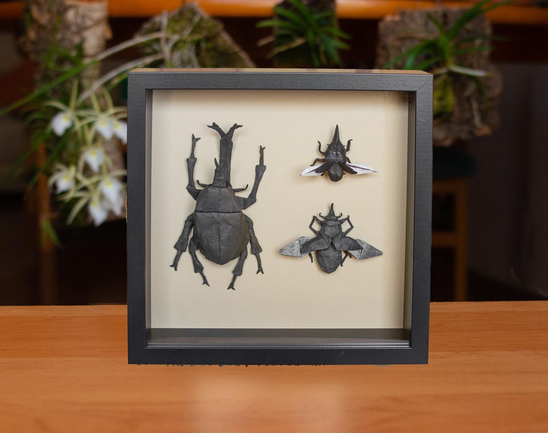 3 Complex Origami Insects Frame, Box Frame With Origami Beetles ...