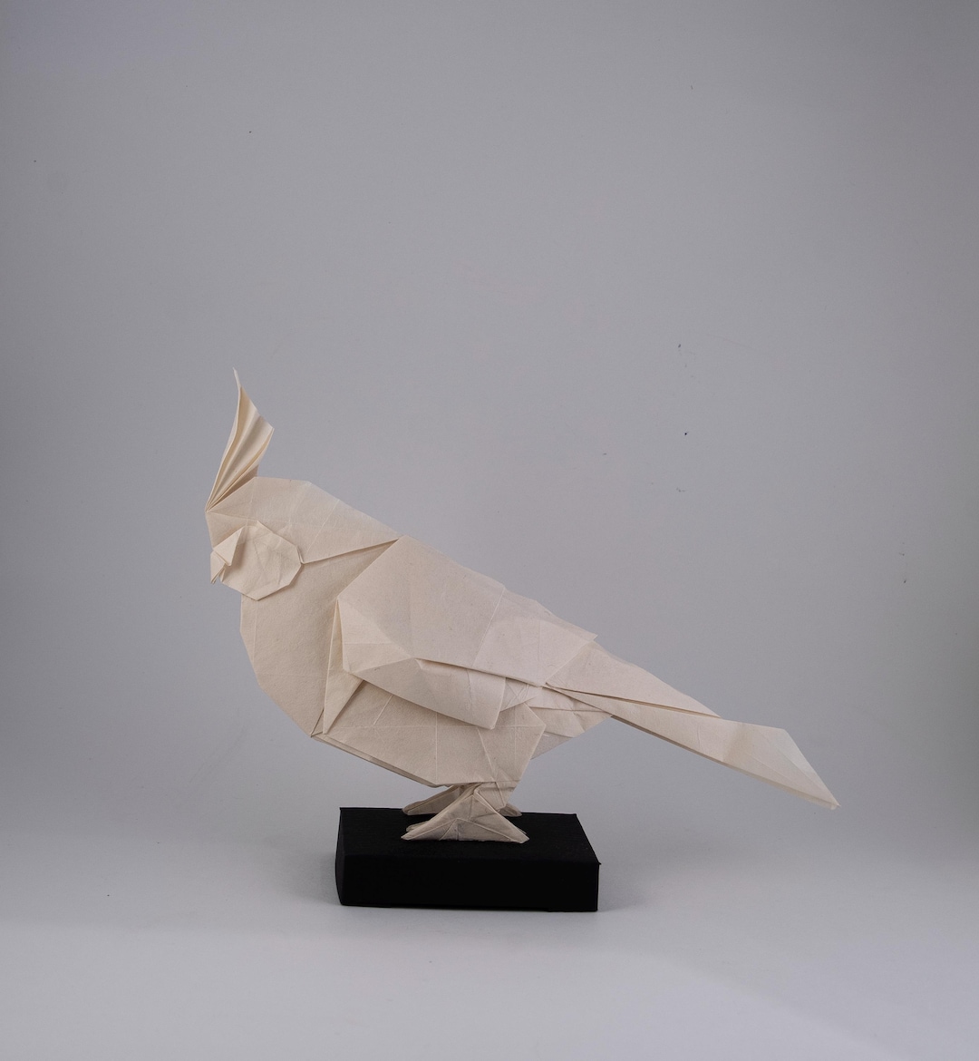 Cockatoo Nymph Carolina Origami Origami Nymphicus Hollandicus Handmade ...
