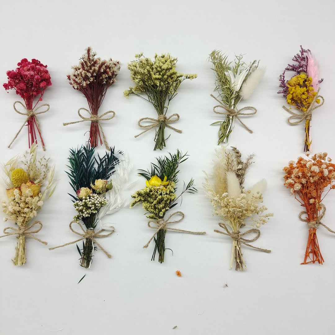Mini Dry Flower Bouquet,natural Plants Bouquet,boho Dried Bouquet,small ...