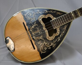 Vintage Stringed Instruments - Etsy