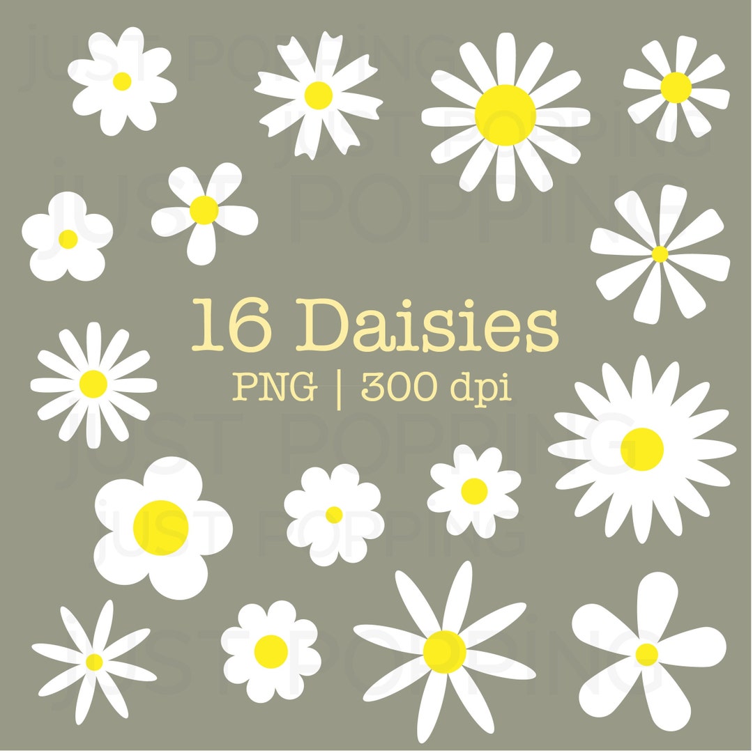 Flower Floral Daisies Clipart, Daisy Images, Set of 16 Flower Design ...