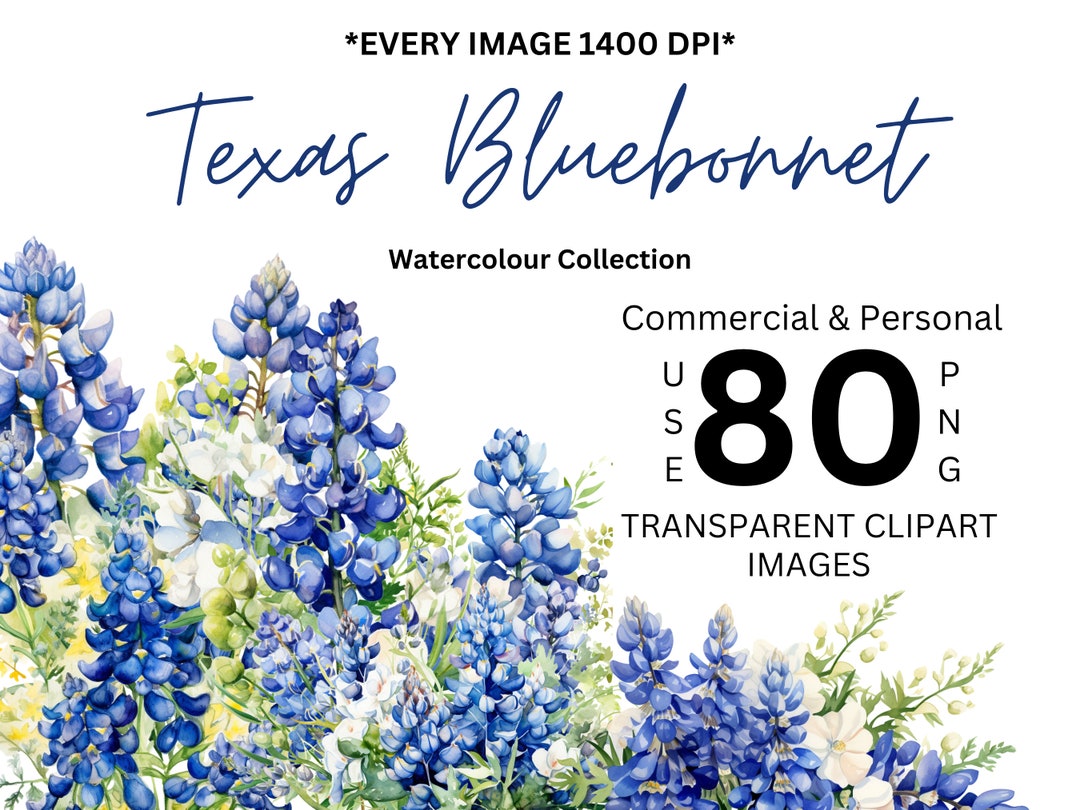 Texas Bluebonnet Floral Clipart Spring Graphics Transparent PNG Art ...